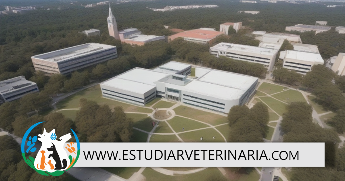 UNIVERSIDADES con FACULTAD DE VETERINARIA en PUERTORICO